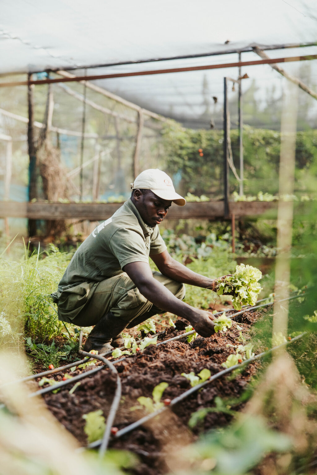 Ololo Safari Lodge – Best safari lodge for families in Nairobi, Kenya