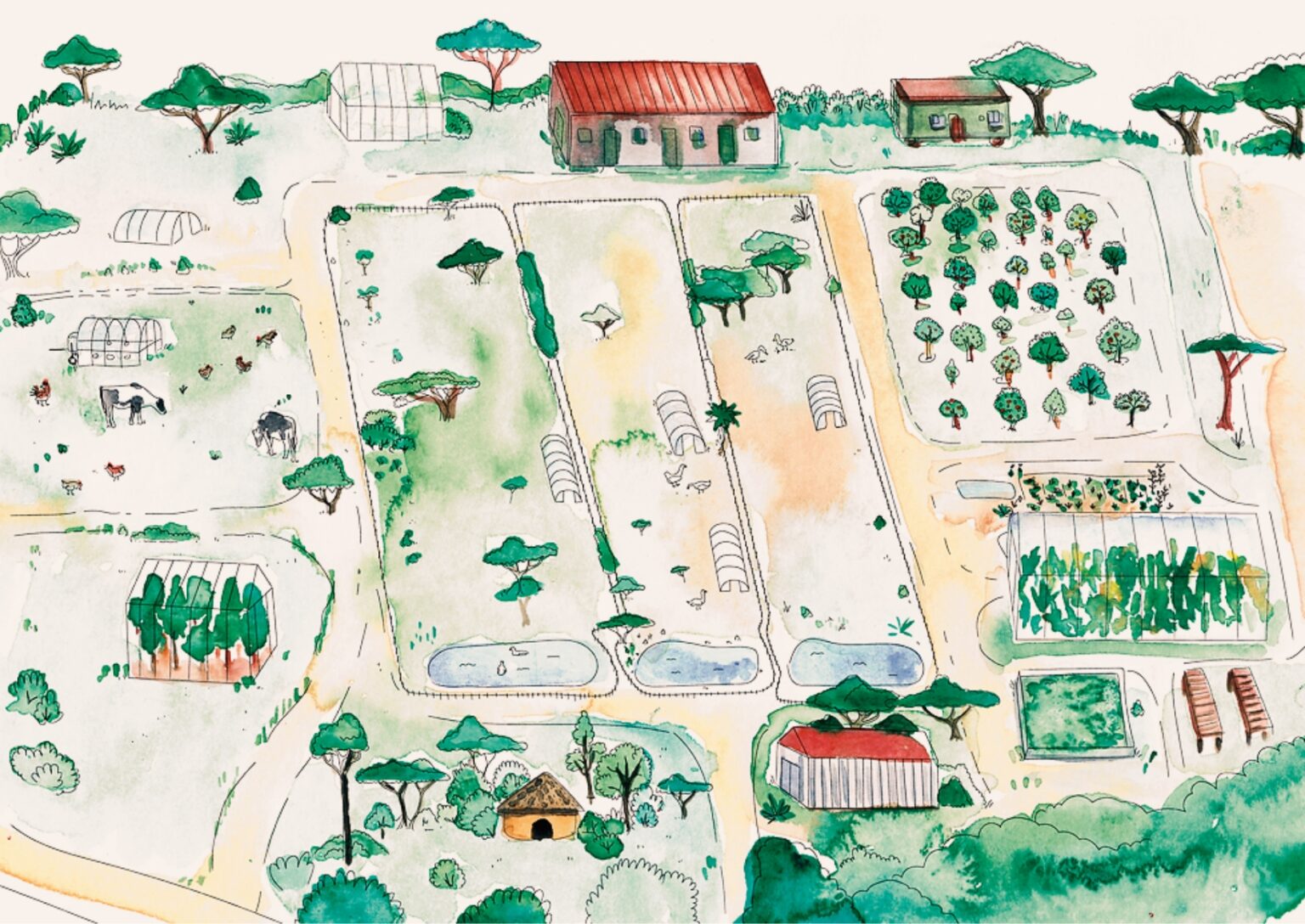 The Ololo Regenerative Farm | Sustainable Safari Experience